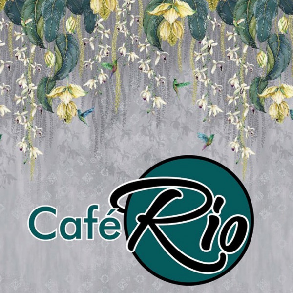 Rodizio Brazilian Restaurant inMelrose